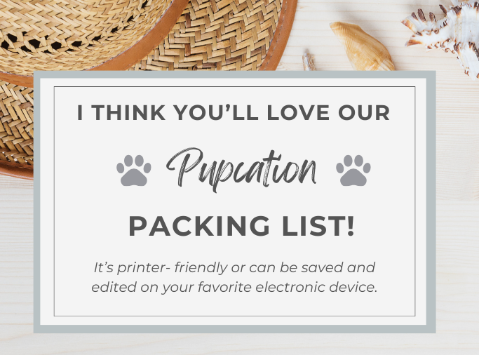 Simple Dog Packing List For Your Dog's Next Pupcation